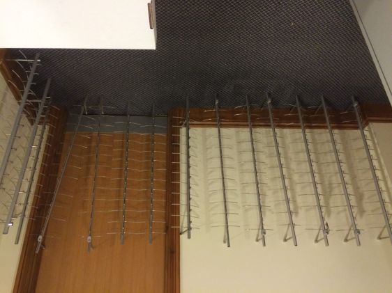 Lockable wall mounted frame display | Frame Display - Rods | Fixtures ...