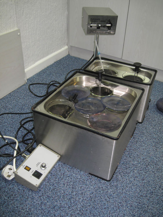 BPI 6 Pot Tint Bath | Used Tint Baths | Lab Equipment | Used Optical ...